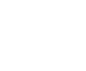 Pride Essence | Rose Vain Project | International